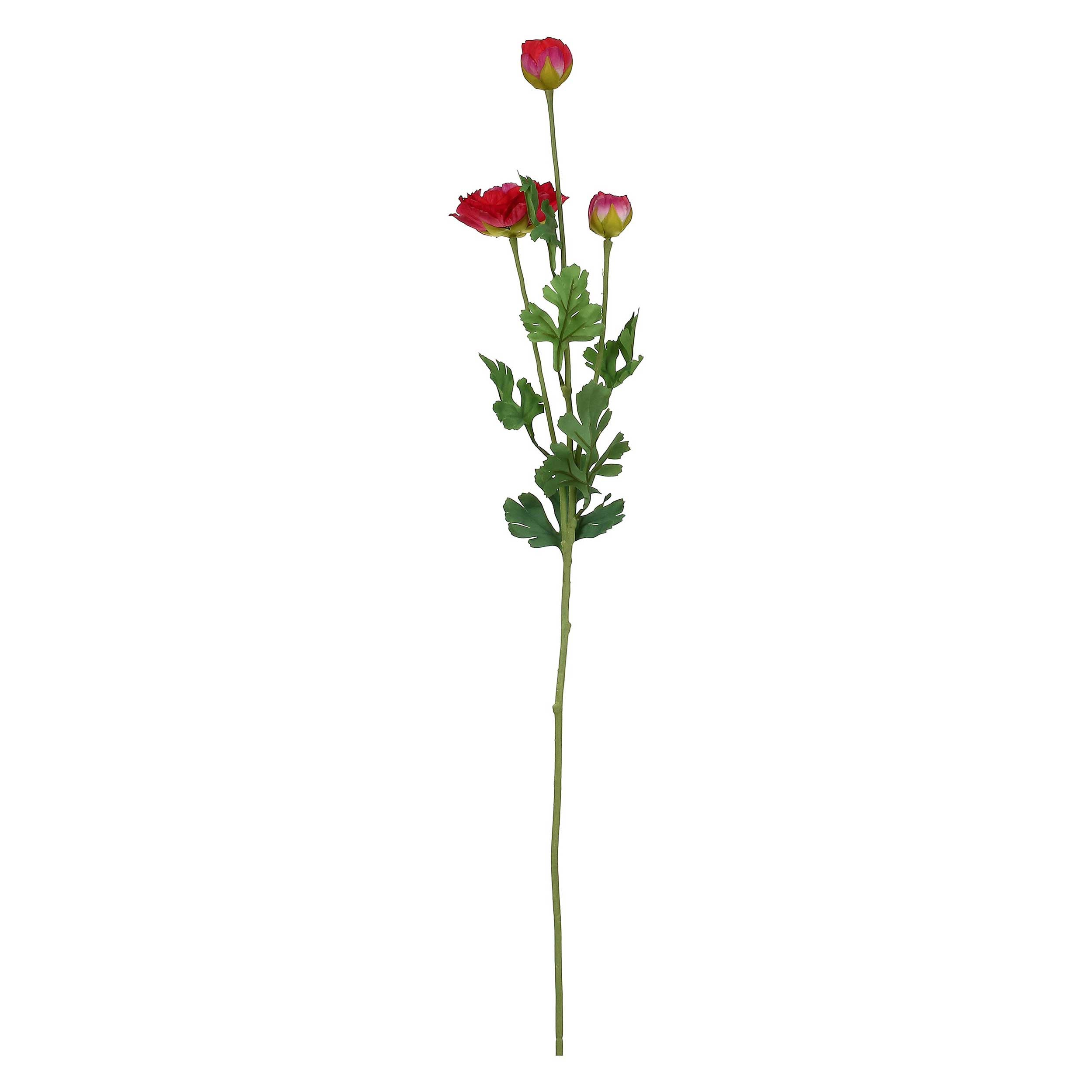 Set of 12, Fuchsia Ranunculus, Flower Arrangement - Fabric and Plastic ...